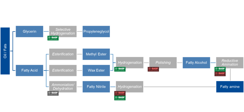 Oleochemical Catalysts | BASF Catalysts
